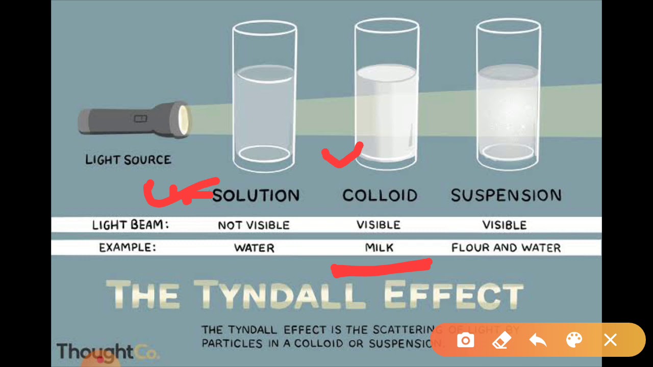 Solution Colloids N Suspension Class 9 By Neelam Dwivedi YouTube