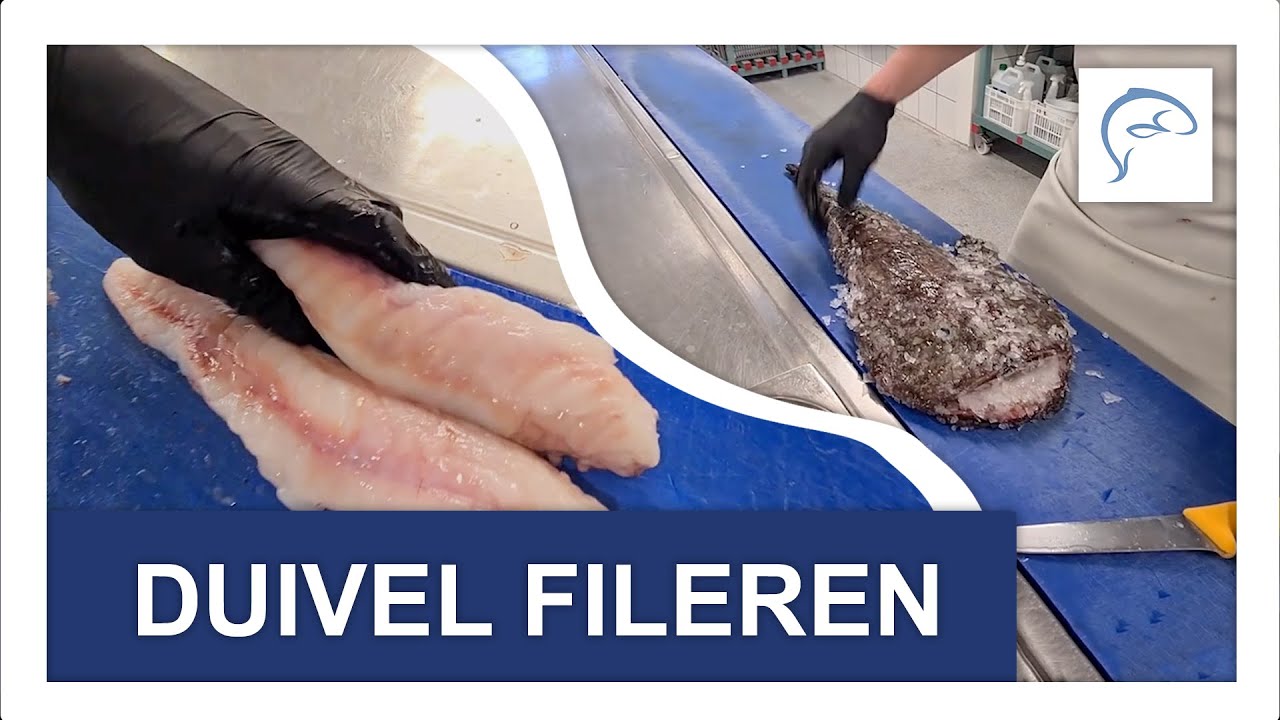 DUIVEL FILEREN | Middelkamp Vis - YouTube