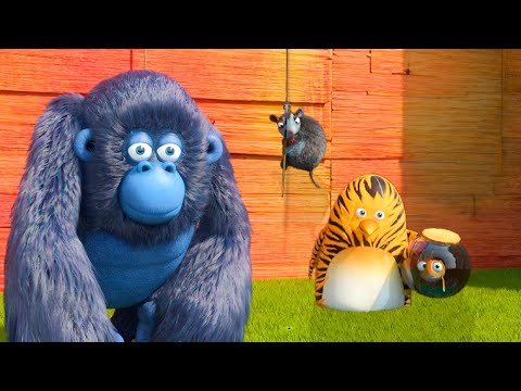 Jungle Bunch 🌋Possum Recall ☀️ FOR KIDS | WOW CLUB