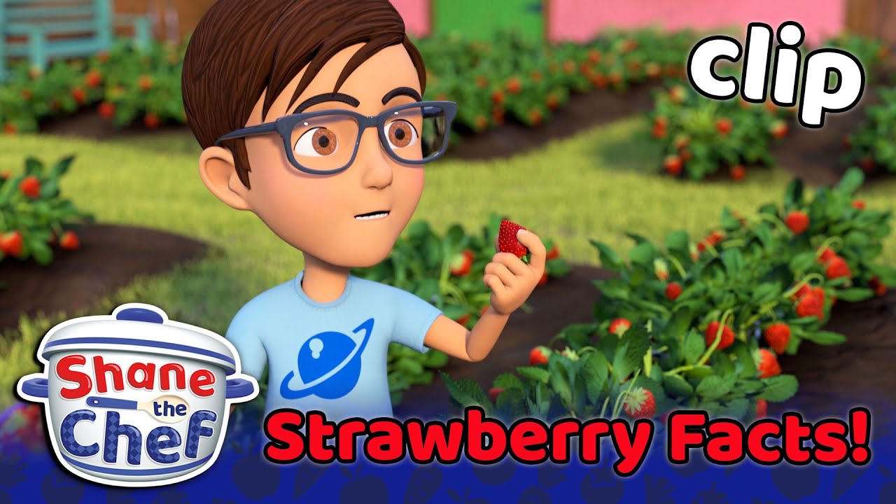Jay's Strawberry Facts! 🍓| Shane the Chef Clips | Shane the Chef ...