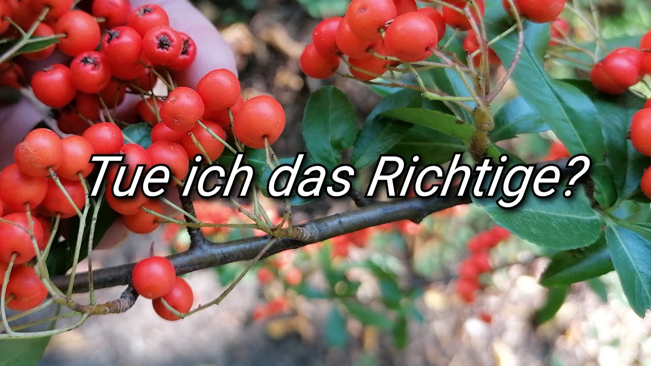 Tue ich das Richtige? - YouTube