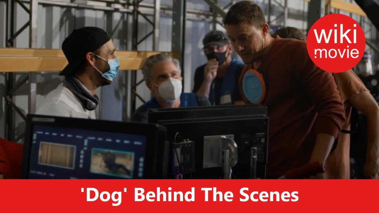 Dog | Behind The Scenes | Wiki Movie - YouTube