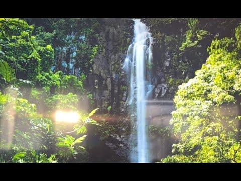 The TRUTH Is Springing Forth - YouTube