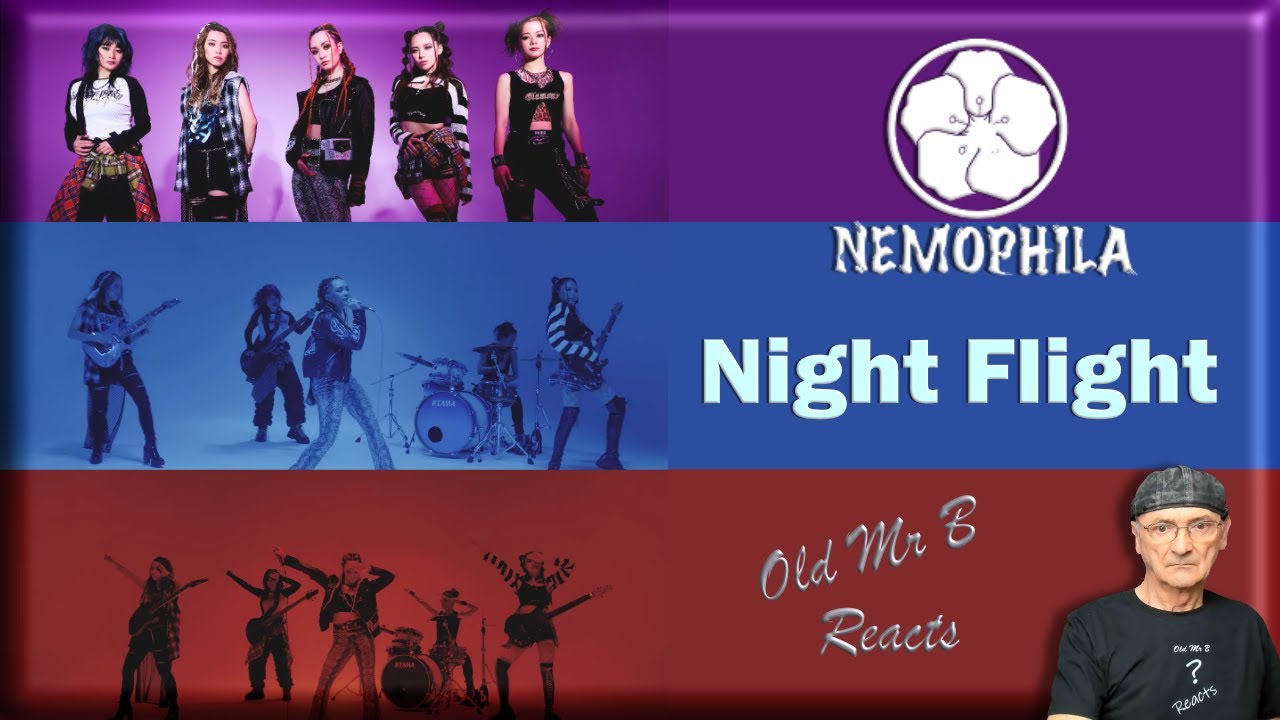 NEMOPHILA - Night Flight (Reaction) - YouTube