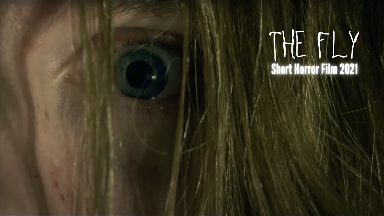 The Fly | Short Horror Film - YouTube