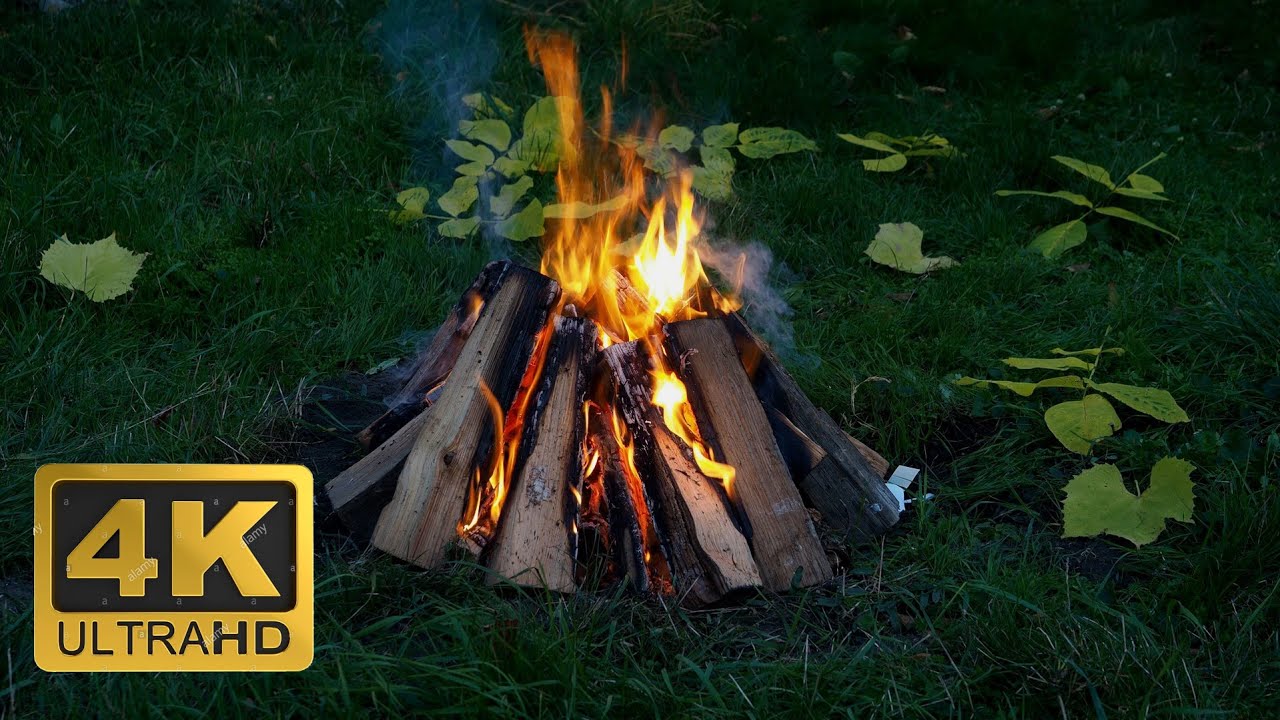 🔥 4K Relaxing Campfire with Crackling Fire Sounds Short No Music TV ...