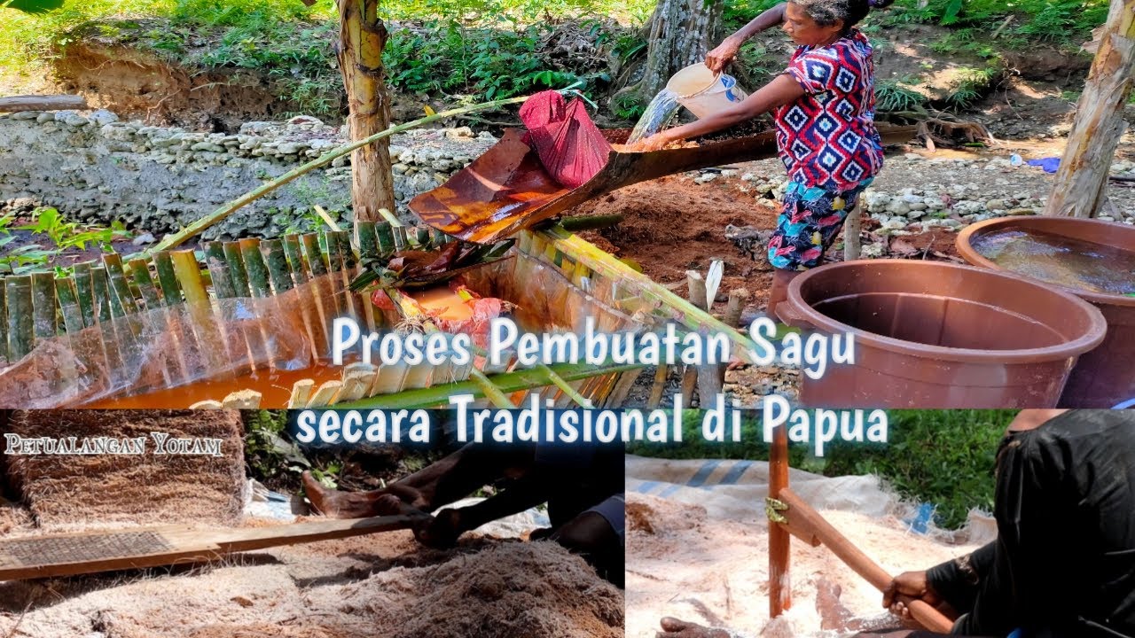 PROSES PEMBUATAN SAGU SECARA TRADISIONAL DI MANDOPI, MANOKWARI, PAPUA ...