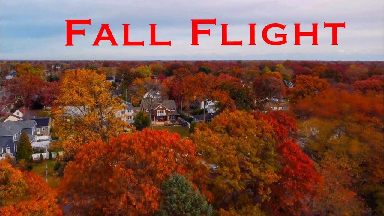 Fall Flight - DJI Mini 2 - YouTube