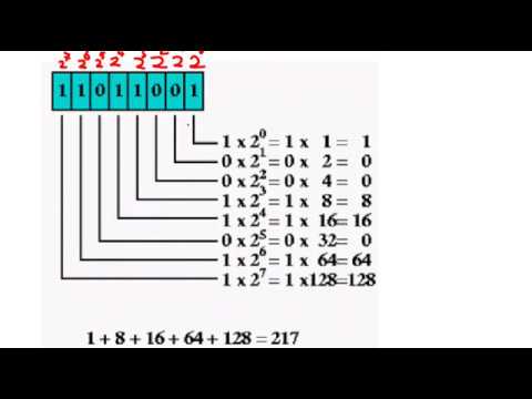 Binary Nedir? Bit Nedir? Hexadecimal Nedir? #1 - YouTube