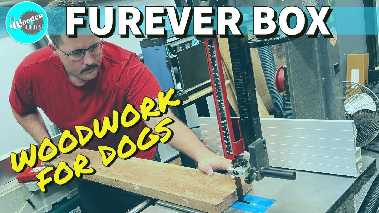 Dog Box For Beginners - Easy Woodworking Project - Dog News Web