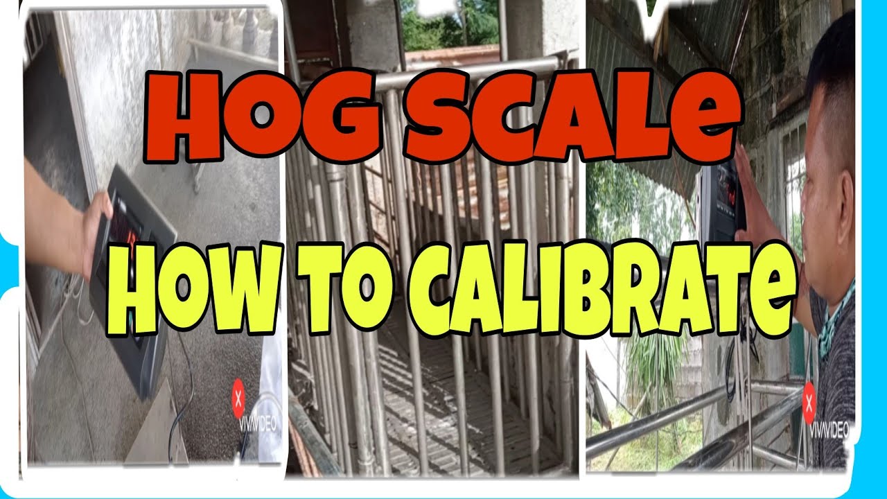 how to calibrate hog/weighing scale @aprilashjoyvlogs - YouTube
