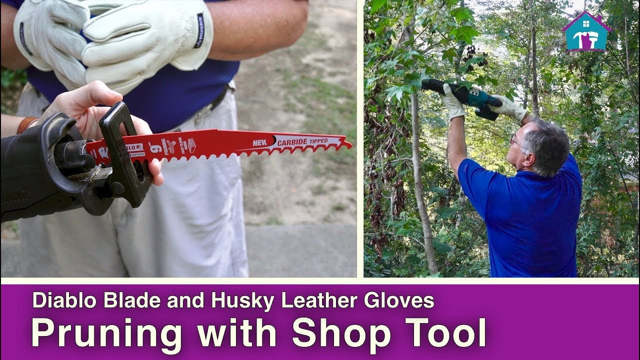 How to Trim Trees with a Pruning Blade - YouTube
