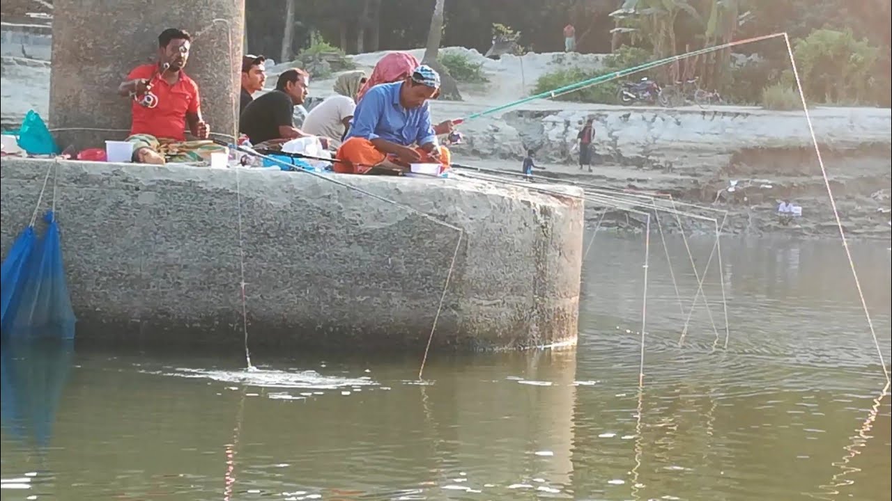 মাছ ধরার সুন্দর কিছু দৃশ্য | beautiful fishing scene | best hook ...