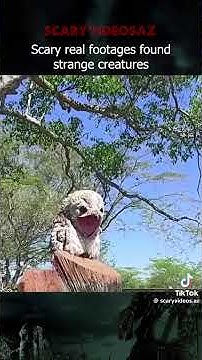 strange things - YouTube