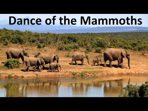 The Whole Other - Dance of the Mammoths - YouTube