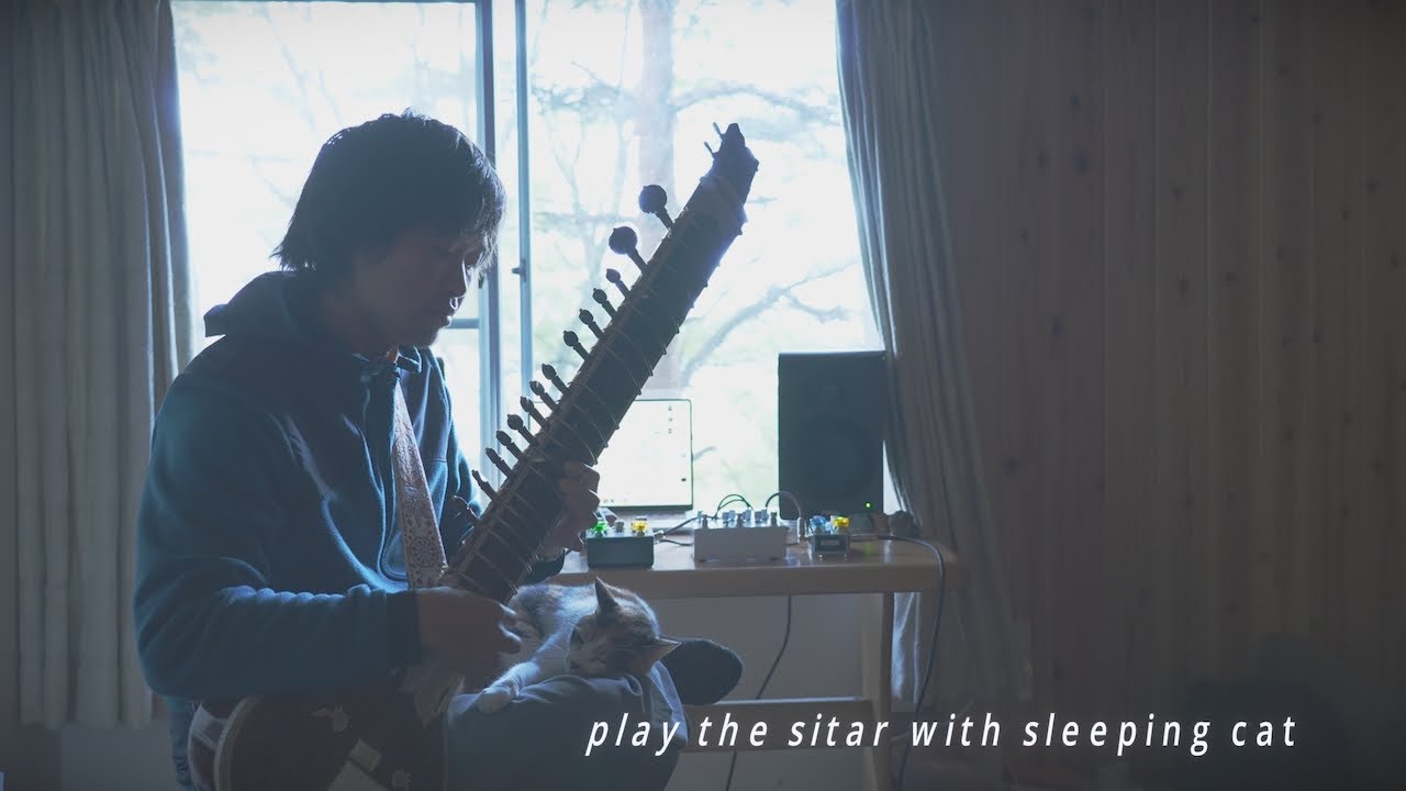 【sleeping music with cat】play the sitar&river sound #sleepmusic # ...