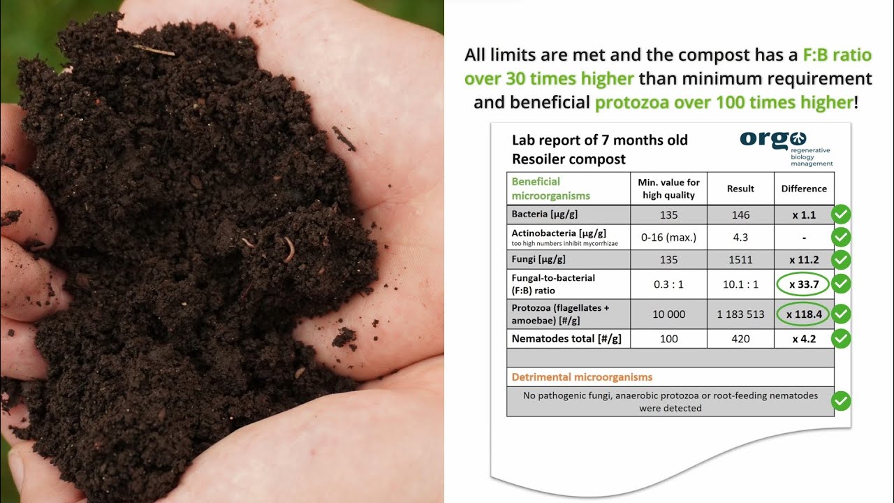 Compost Microscope Analysis - YouTube