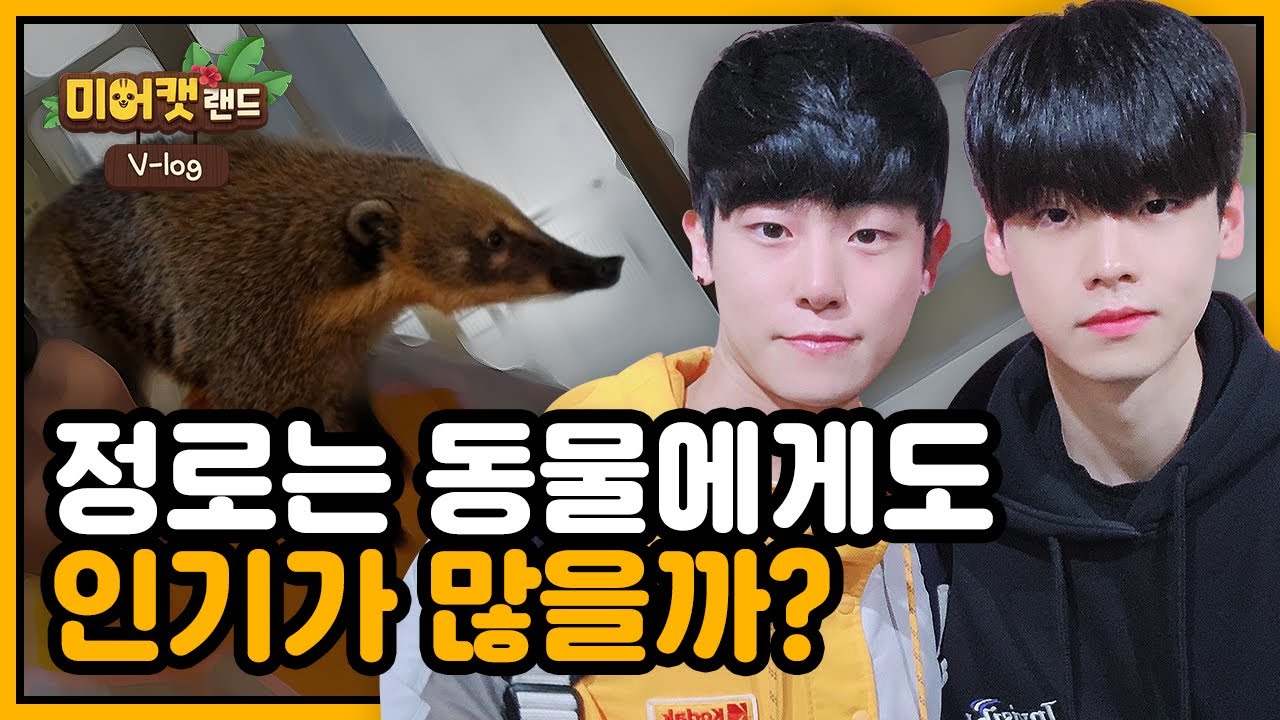 [ENG]정로는 동물에게도 인기가 많을까?(Is Jeong-ro popular with animals?) - YouTube