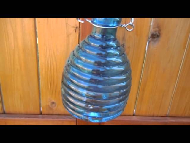 Glass Wasp Trap