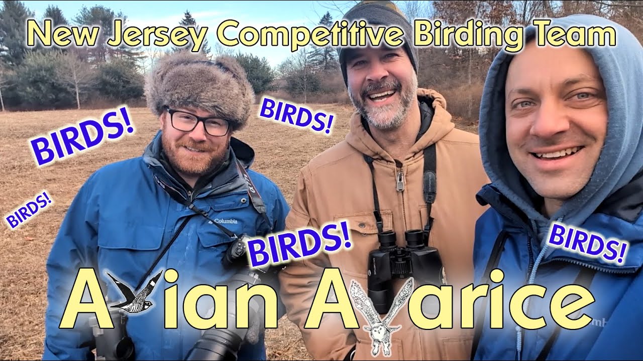 We Are Avian Avarice #Birding - Original Channel Trailer #BIRDS! - YouTube