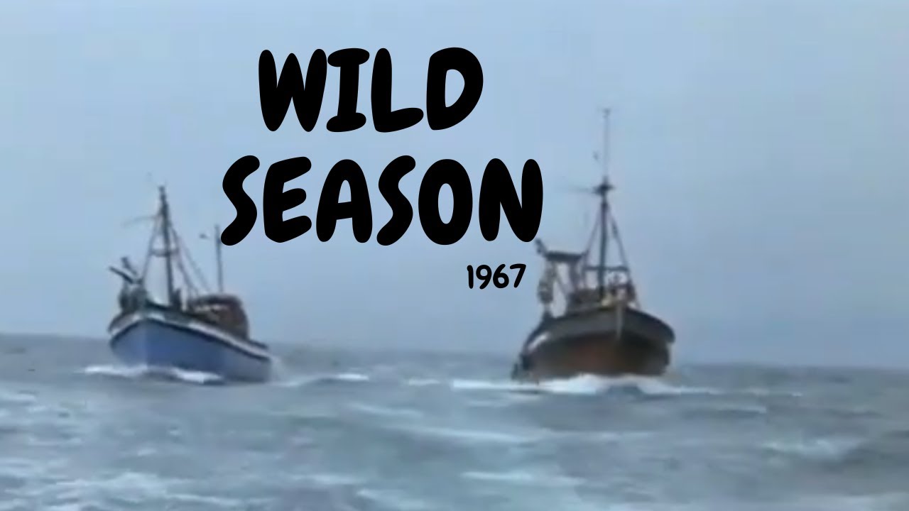 Wild Season (1967) South African Drama – Gert van den Bergh, Marié du ...
