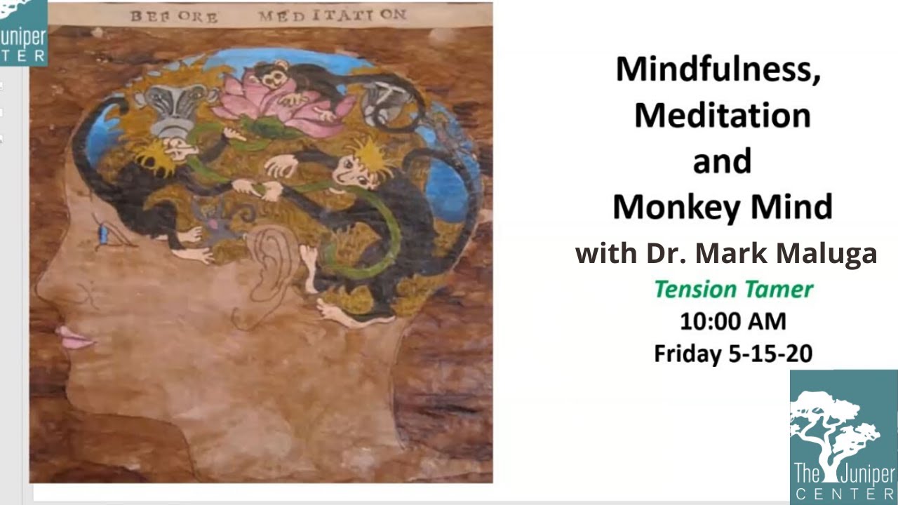Mindfulness Meditation, Breath, and Taming the Monkey Mind - YouTube