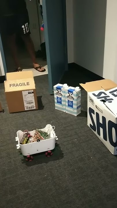 Raspberry powered four wheeled obstacle detection and path finding ...