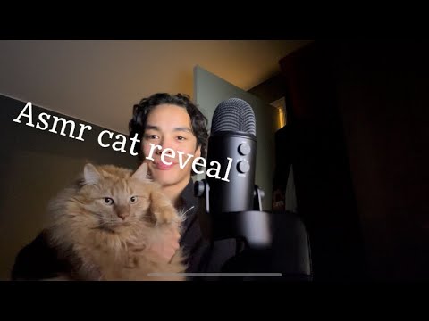 Asmr cat reveal | Rambling & Tapping - YouTube