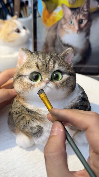 No sweet words, just a sweet little cat. #squishy #cat #cute #cutecat # ...