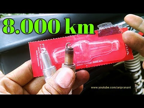 Kenyataan Pahit - Umur Busi Honda Beat Hanya 8.000 km - YouTube