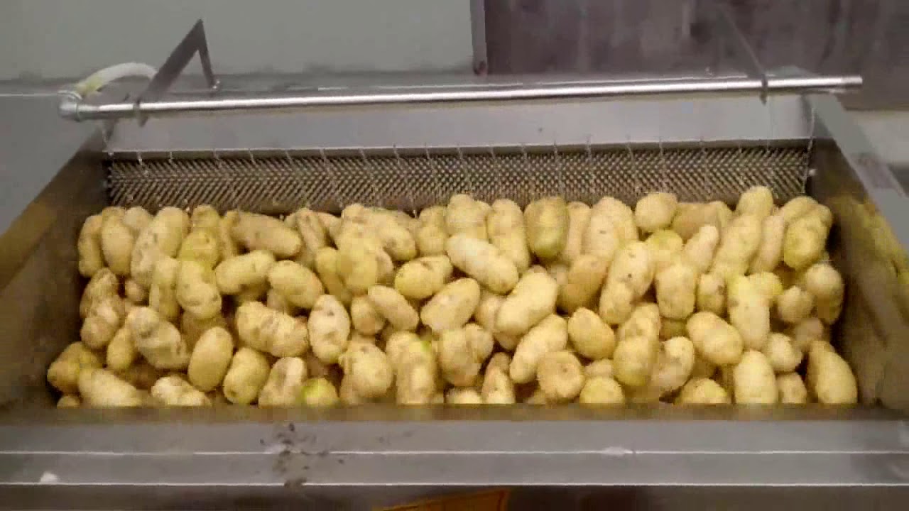 Brush type potato washing and peeling machine - YouTube