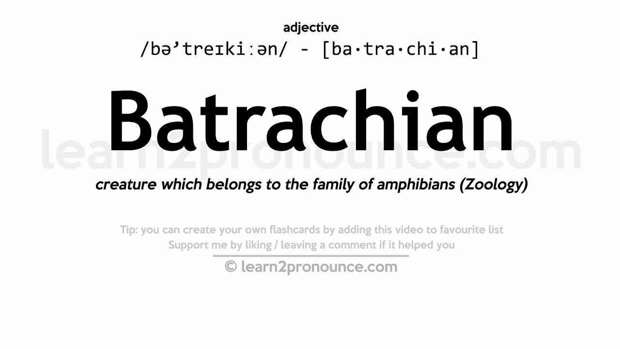 Pronunciation of Batrachian | Definition of Batrachian - YouTube