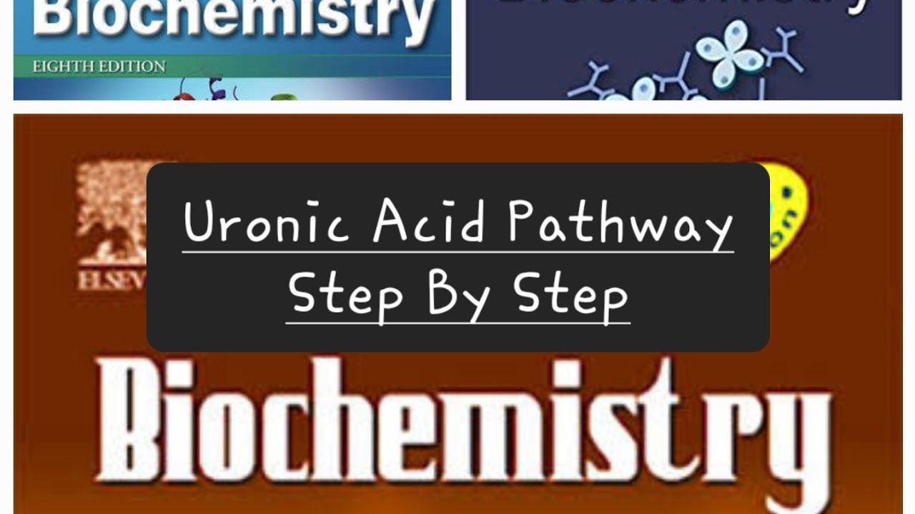 Uronic Acid Pathway Step by Step Made Easy. #mbbs #biochemistry # ...