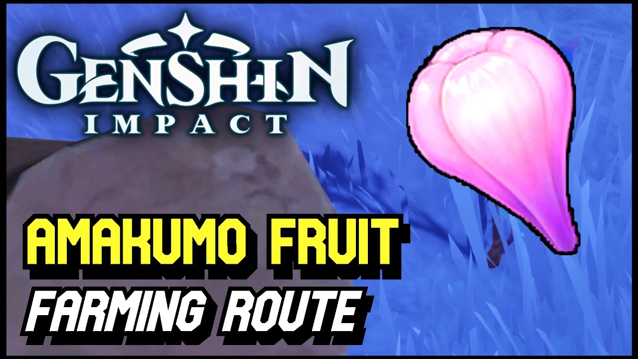 Genshin Impact - Amakumo Fruit Farming Route (All Spots) - YouTube