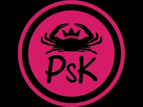 ZipFlip Instrumental Video by PsK