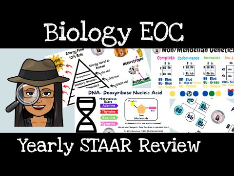 Biology EOC Review- 9th Grade STAAR Test @TeachingBiologyisFun ...