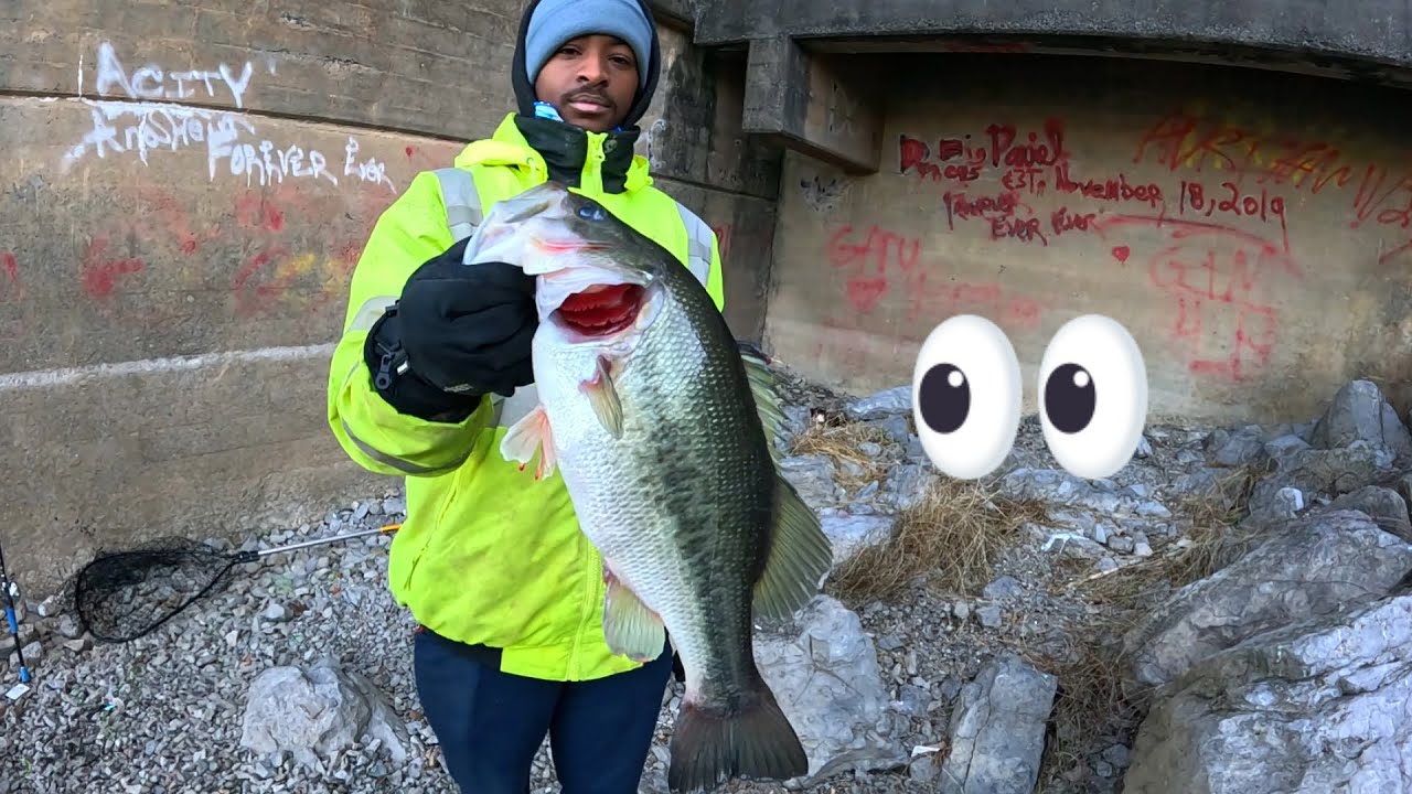 Catching WHITE BASS and LARGEMOUTH BASS with a SPOON!!! @Catchthefever ...