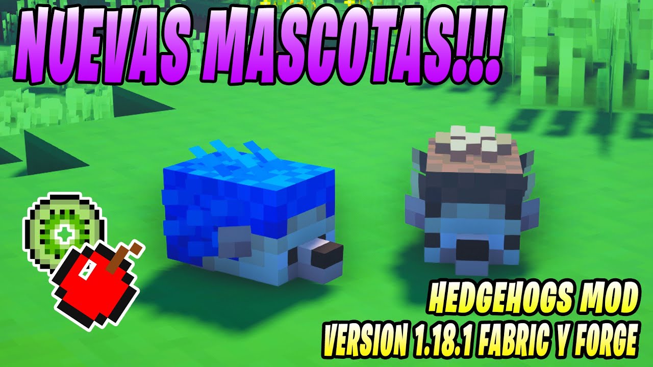 HEDGEHOGS Mod!! SUPER ERIZOS!!! Minecraft 1.18.1 REVIEW - YouTube