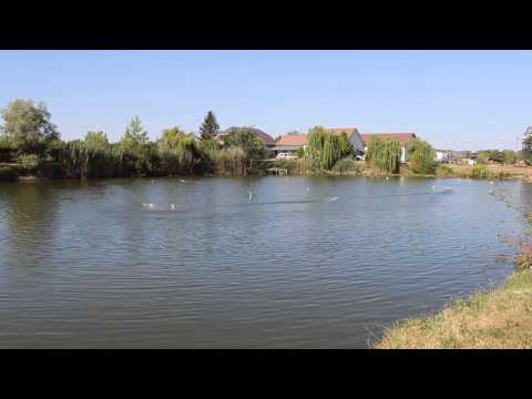 2013 08.18 Sylka kupa Mini Eco 1/4