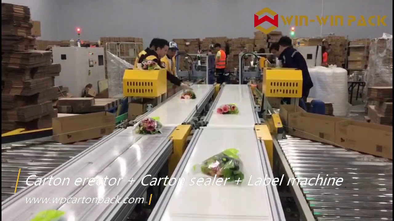 WIN-WIN PACK automatic packaging system for flowers - YouTube