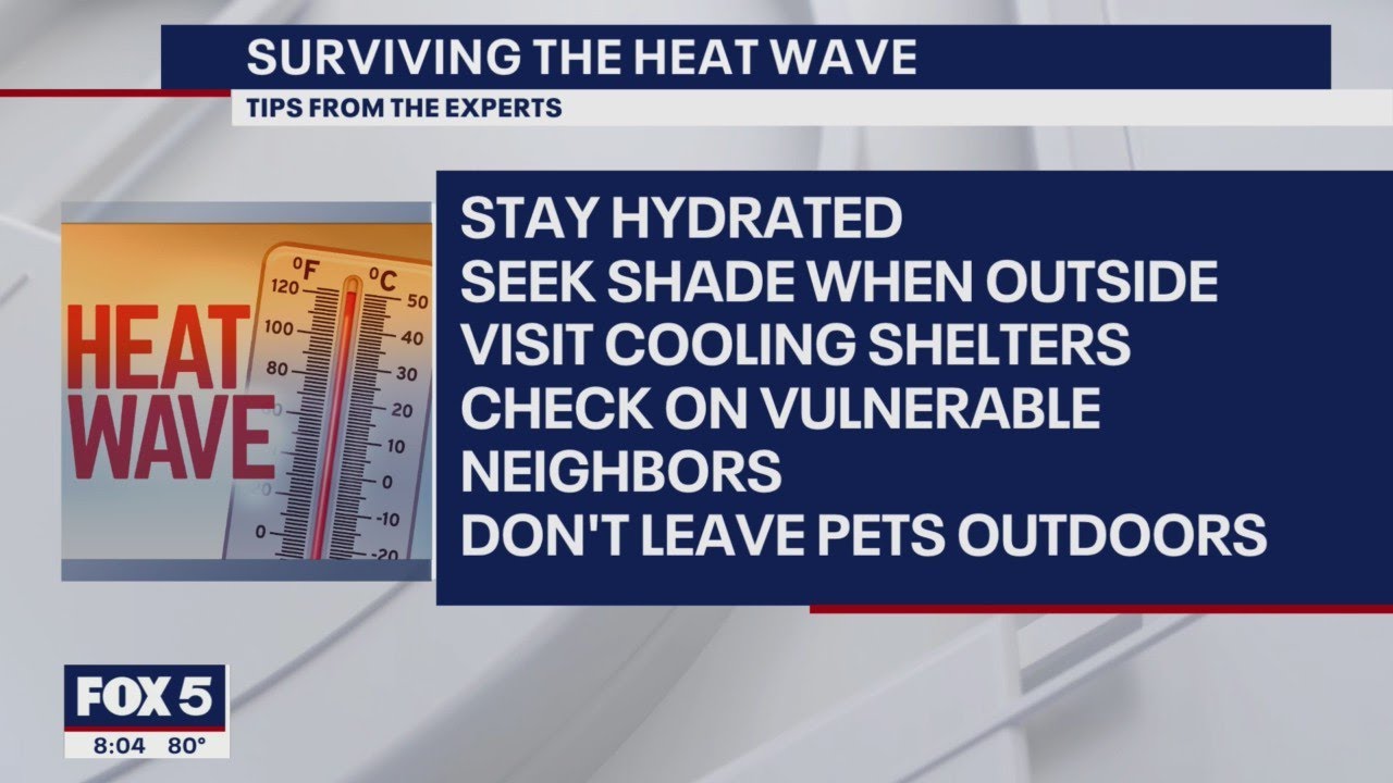 DC Heat Wave: Tips for staying safe in the heat | FOX 5 DC - YouTube