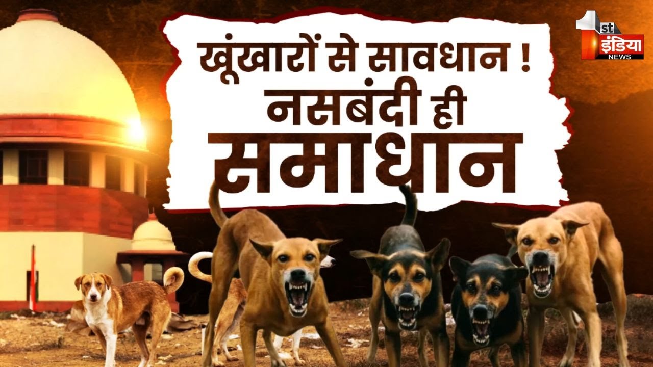 Supreme Court On Stray Dogs: खुंखारों से सावधान ! नसबंदी ही समाधान ...