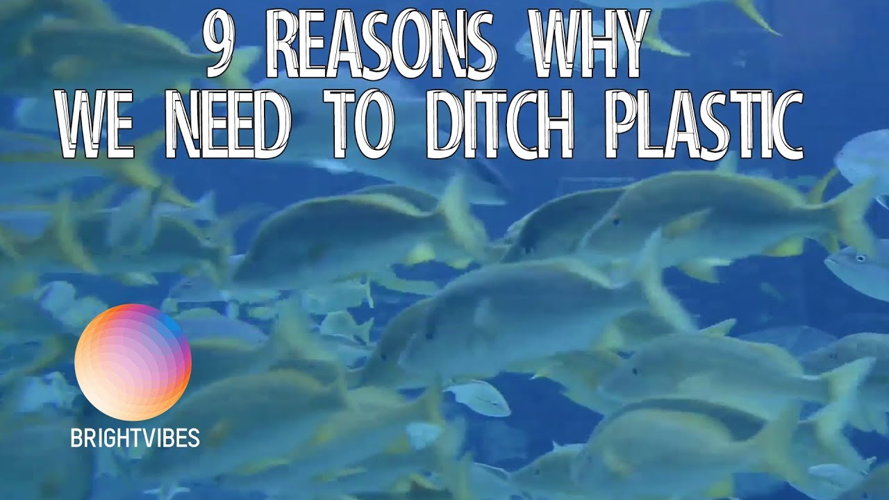 Here are 9 reasons why we need to ditch plastic - YouTube