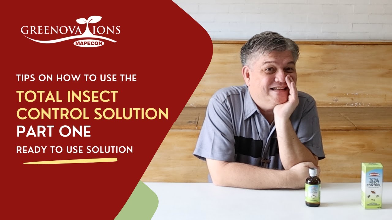 HELP! SUROT! How to Get Rid of Bed Bugs? - YouTube