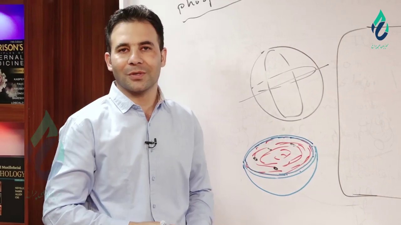 PHYSIOLOGY lesson 02 PART 02 - YouTube