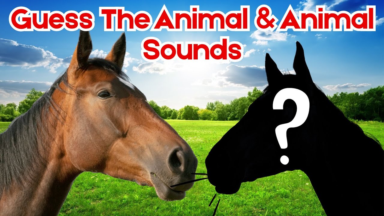 Animal Sound Guessing Game 🎧 | Farm Animals Sounds & Names for Kids ...