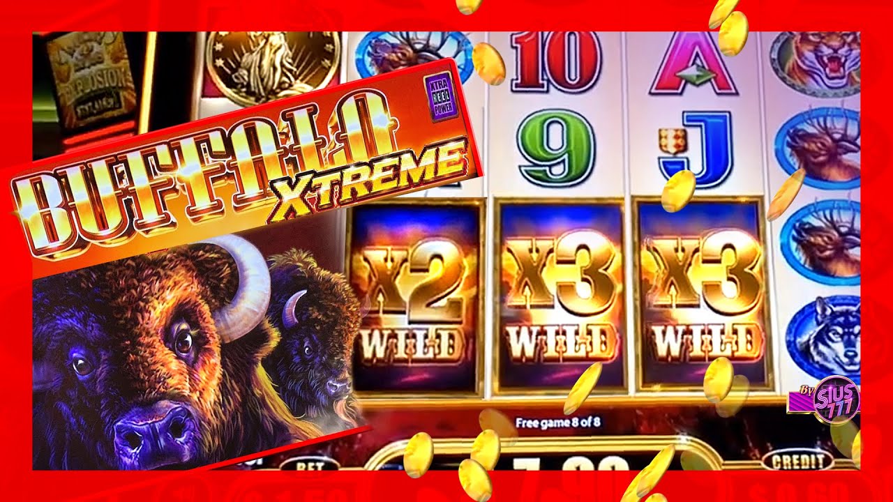 BIG WIN!!! Buffalo Extreme Vs Buffalo Chief - ARISTOCRAT SLOTS - YouTube