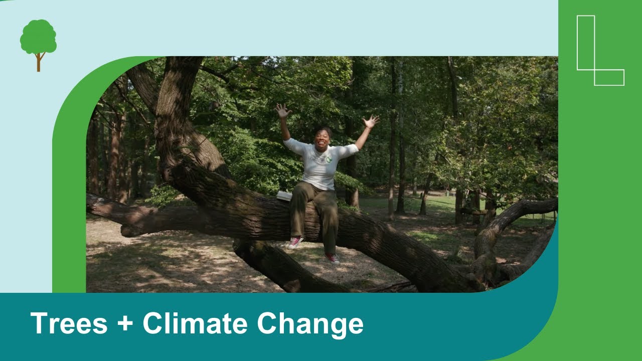 Climate Heroes: The Power of Trees - YouTube