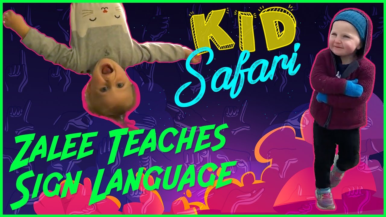 American Sign Language for Babies! Kid Safari - YouTube