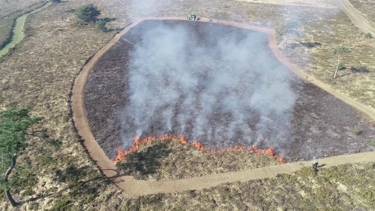 Swailing | Clinton Devon Estates - YouTube
